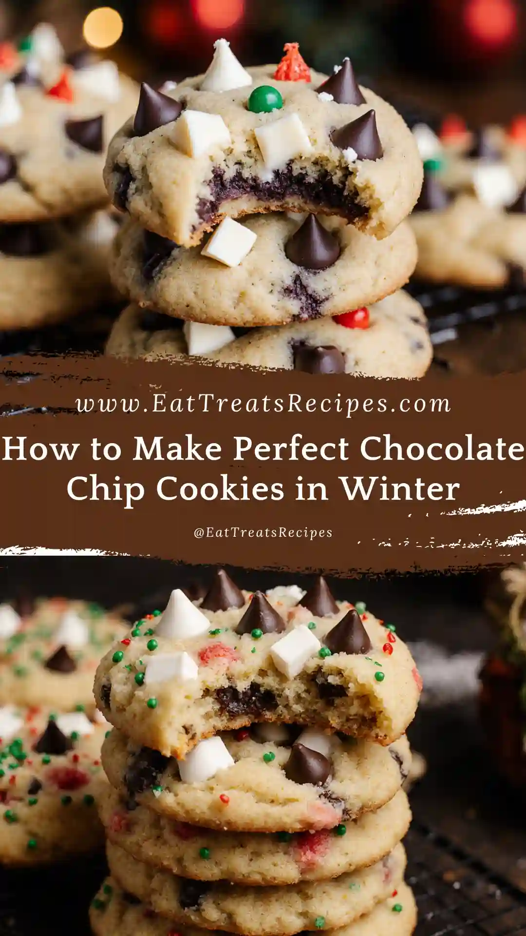 How to Make the Perfect Chewy Chocolate Chip Cookies in Winter How to ...